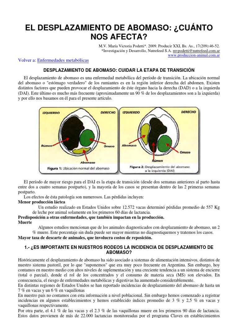 19 Abomaso PDF | PDF | Vacas | Cetosis