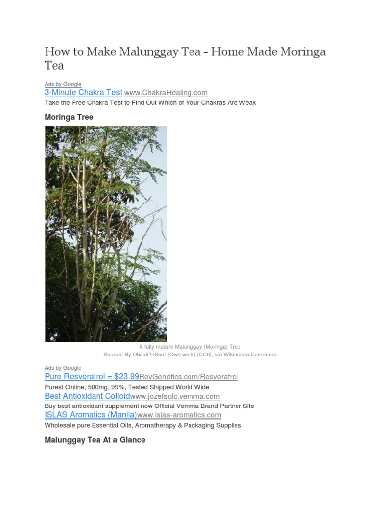 How to Make Malunggay Tea - A Step-by-Step Guide to Preparing this ...