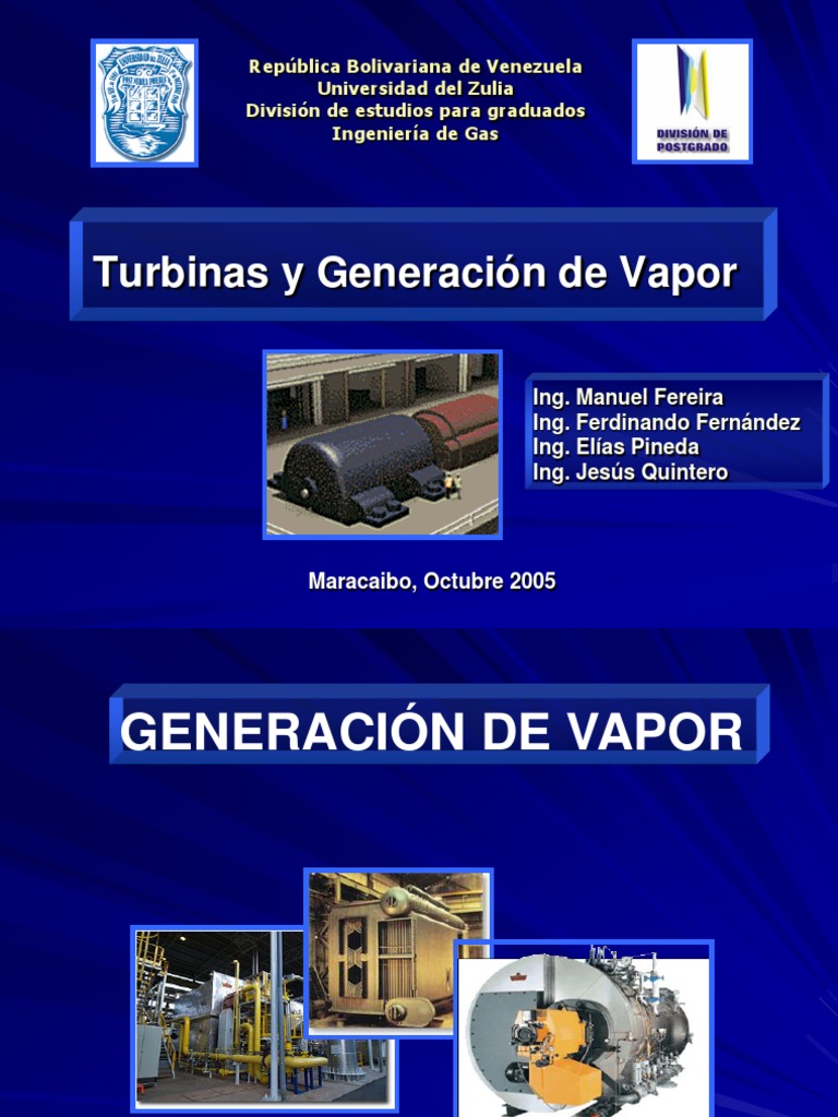 Generacion de Vapor | PDF | Caldera | Combustibles