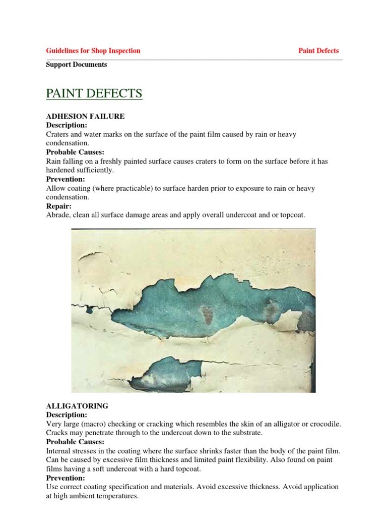 Paint Defects | PDF | Paint | Rust