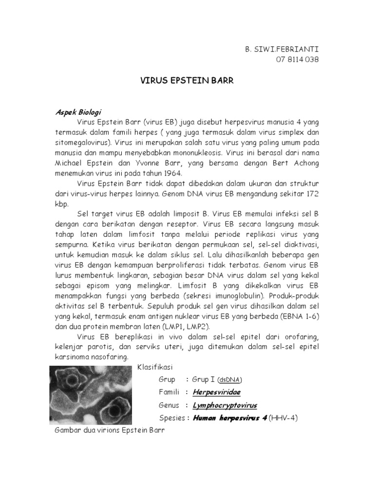 Virus Epstein Barr | PDF