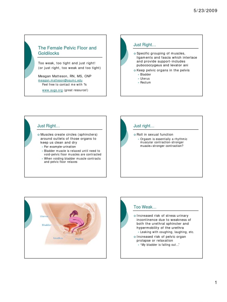 The Female Pelvic Floor and Goldilocks-Handout | PDF | Urinary ...