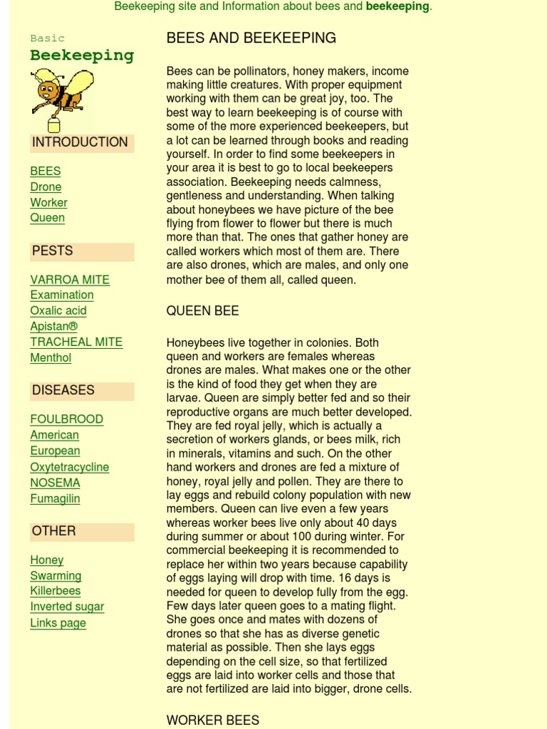 Bee Keeping - Beekeeping Basics | PDF | Beekeeping | Honey Bee