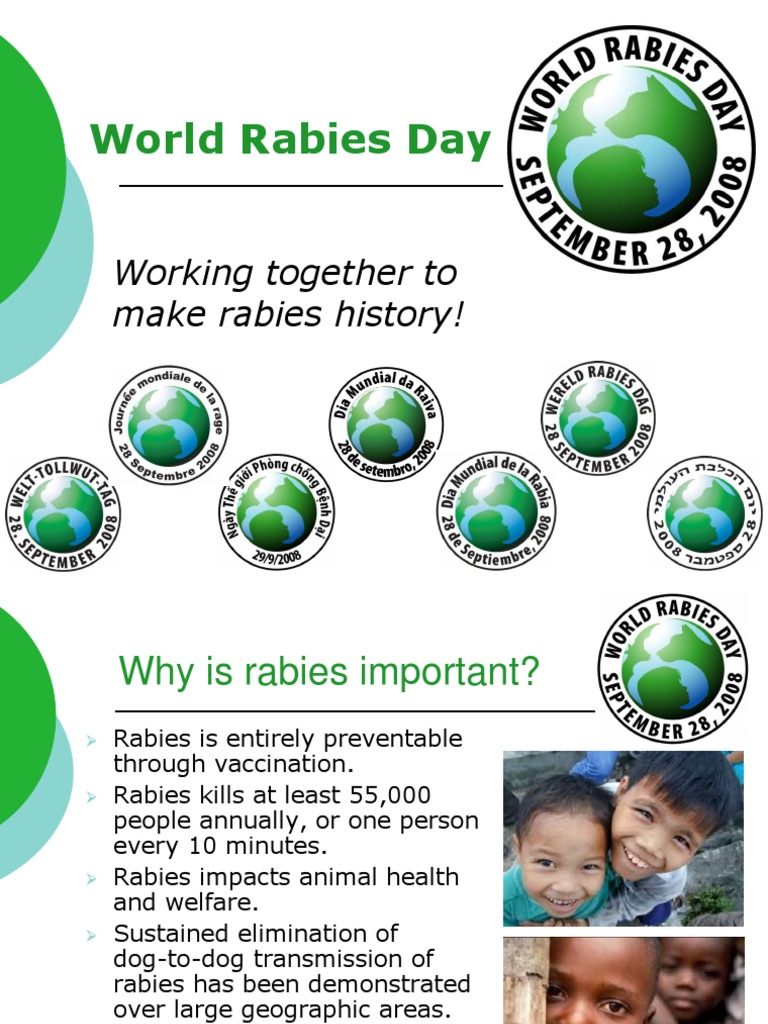 World Rabies Day: Working Together To Make Rabies History! | PDF ...