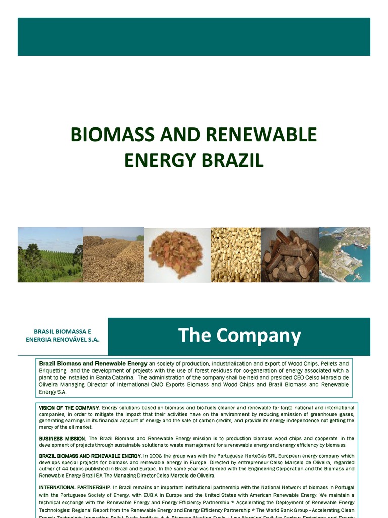 News Brochure Business Brazil Biomass Renewable Energy 2009 | Biomass ...