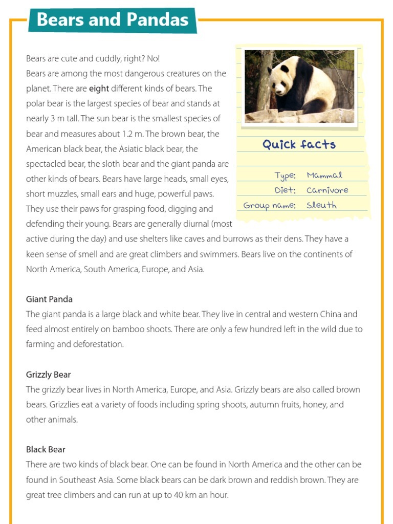 Bears and Pandas - Reading Comprehension For Children | PDF | Bears ...