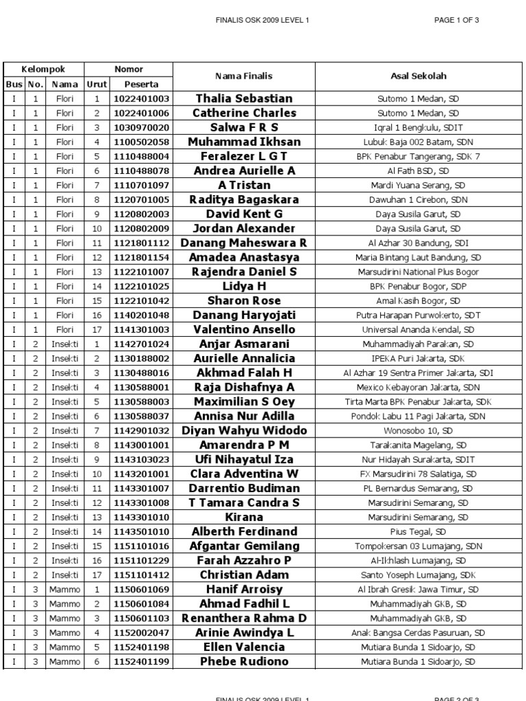 Finalis Level 1 OSK 2009 | PDF