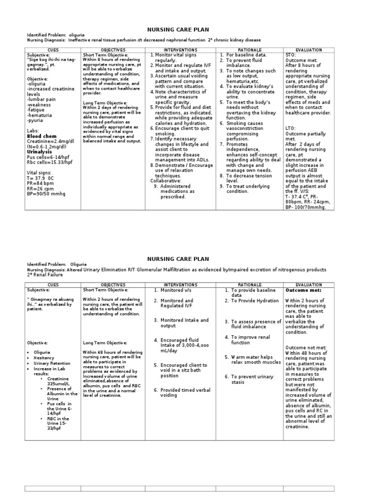 Ncp | Renal Function | Kidney