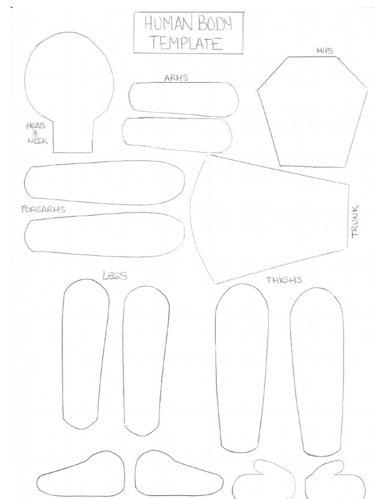 Human Body Template | PDF