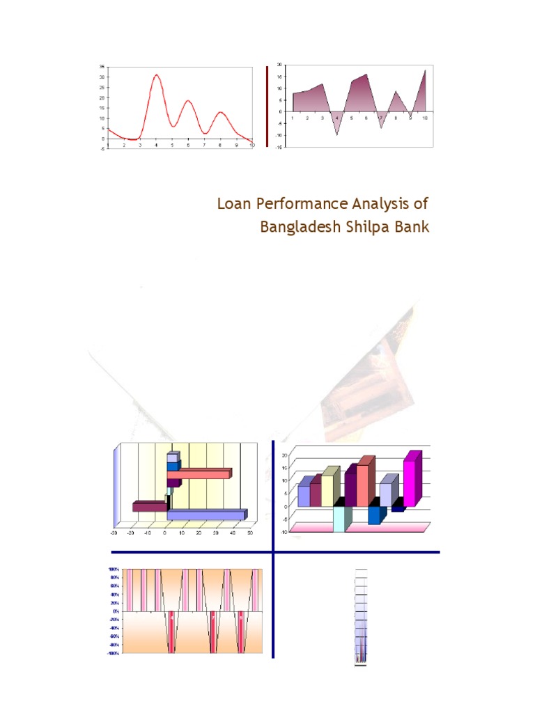 Loan Performance Analysis of BSB | PDF | Loans | Credit