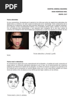 Facies Algicas | PDF | Anatomía humana | Especialidades Medicas
