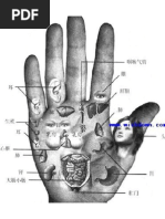 Chinese Fire Cupping | PDF | Traditional Chinese Medicine | Acupuncture