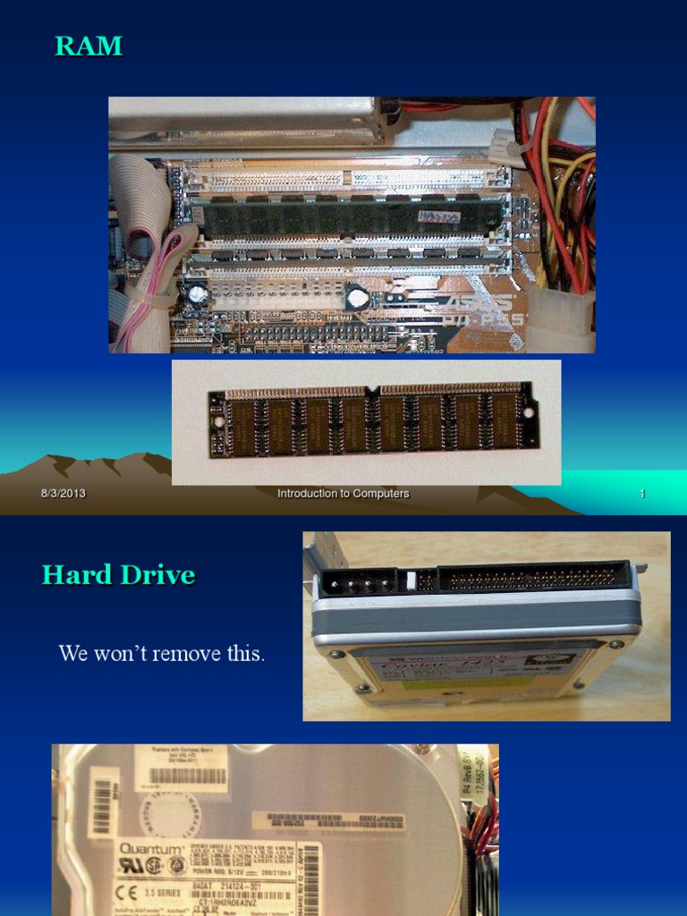 2441 Cmop Basic 4 | PDF