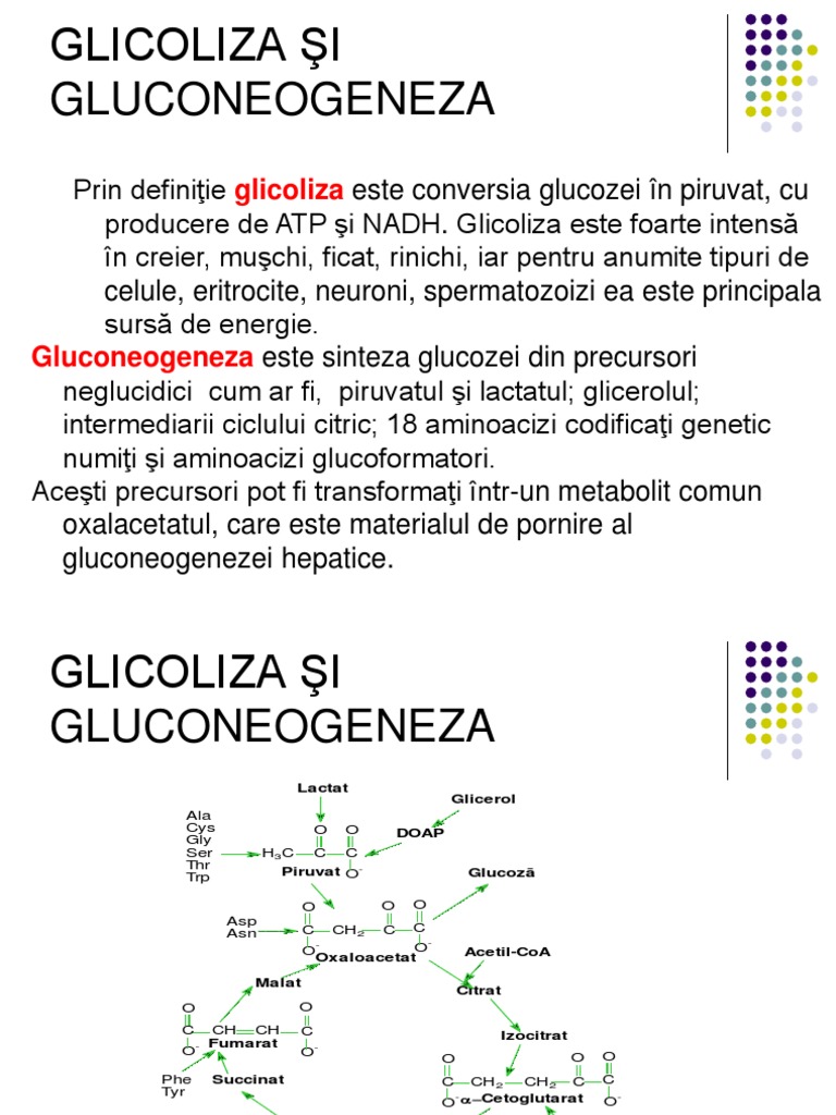 94glicoliza Şi Gluconeogeneza | PDF