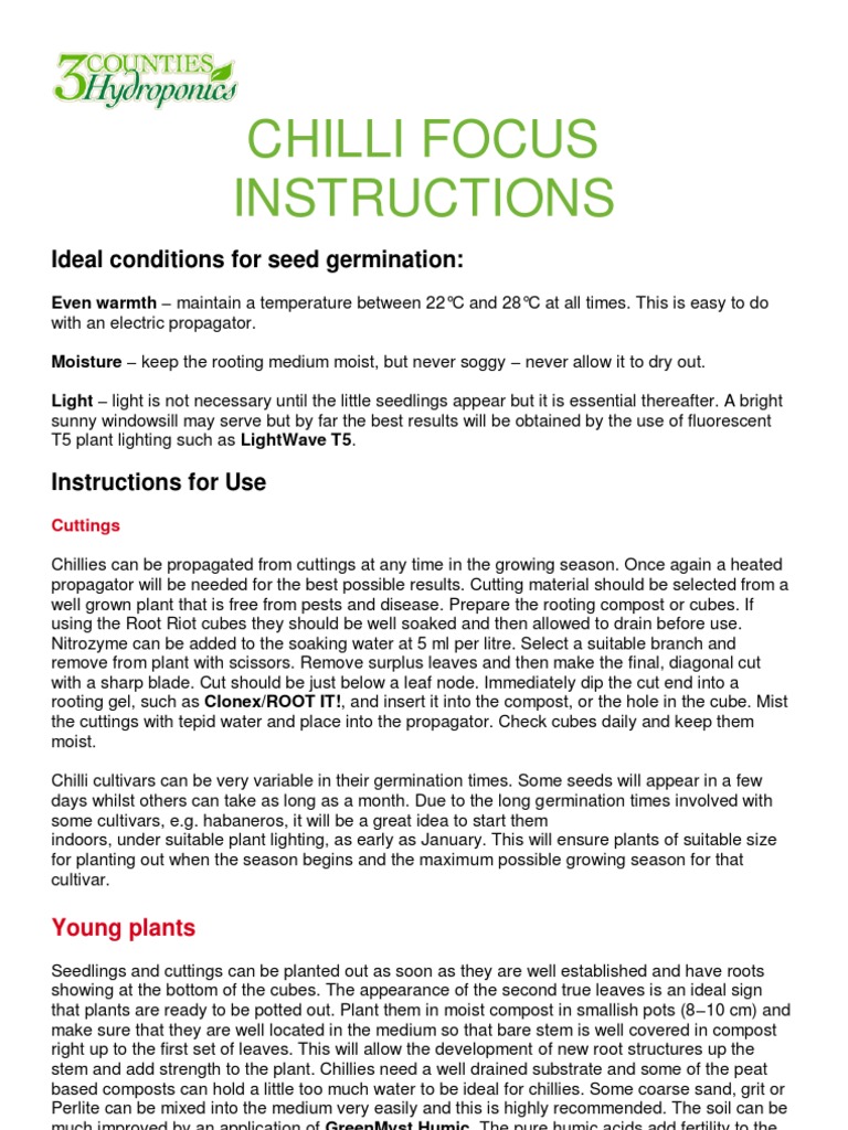 Chilli Focus Instructions | PDF | Plants | Botany