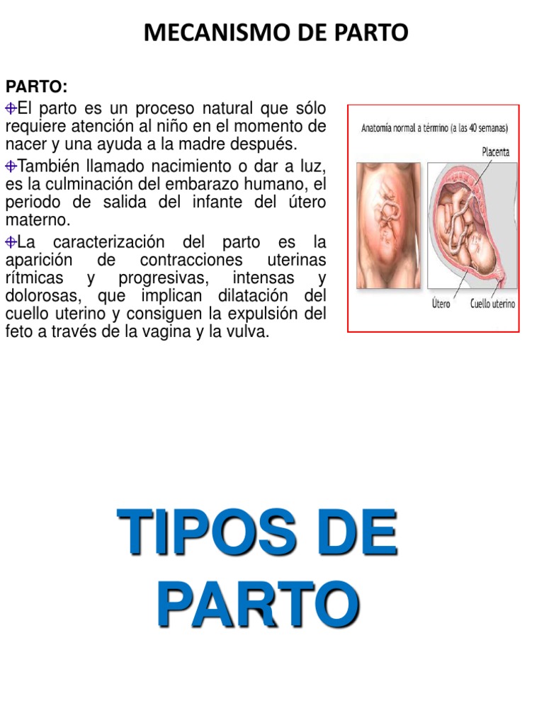 Mecanismo de Parto | PDF | Pelvis | Parto