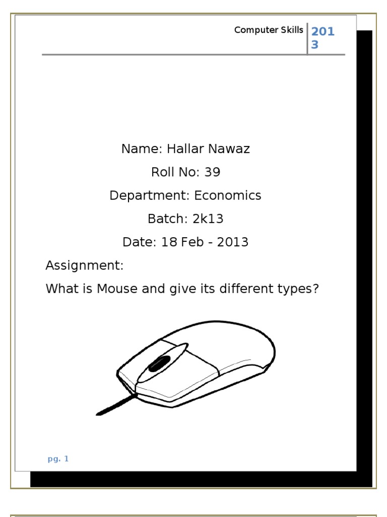 Computer Skills | PDF | Human–Computer Interaction | Input/Output