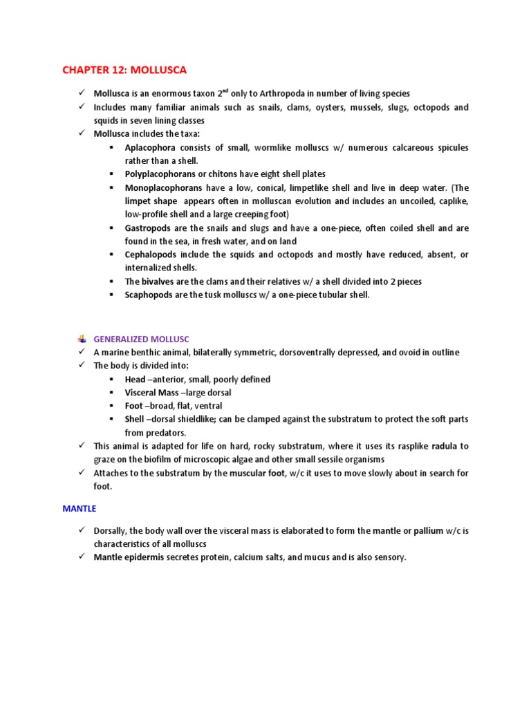 Mollusca Digestive System Overview | PDF | Mollusca | Human Digestive ...