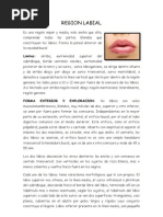 Anatomía y Fisiología de Los Labios. | PDF | Labio | Piel