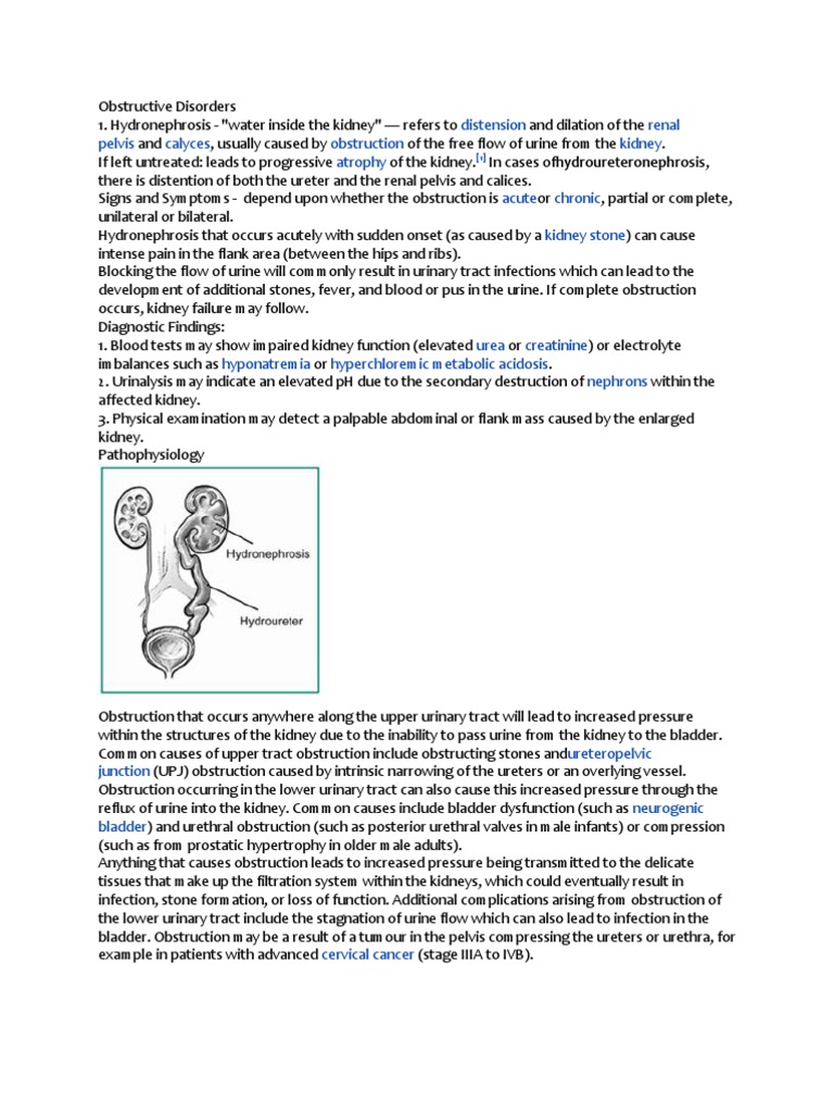 GU Handouts | PDF | Urology | Urinary System