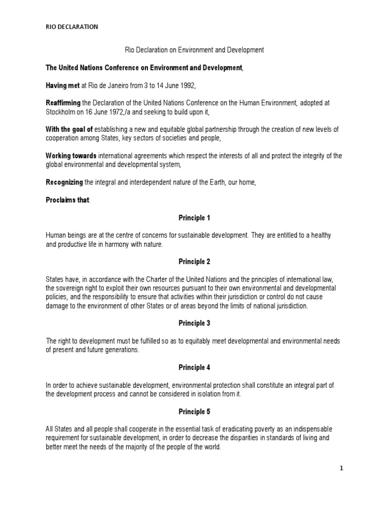 Rio Declaration on Environment and Development | PDF | Sustainability ...