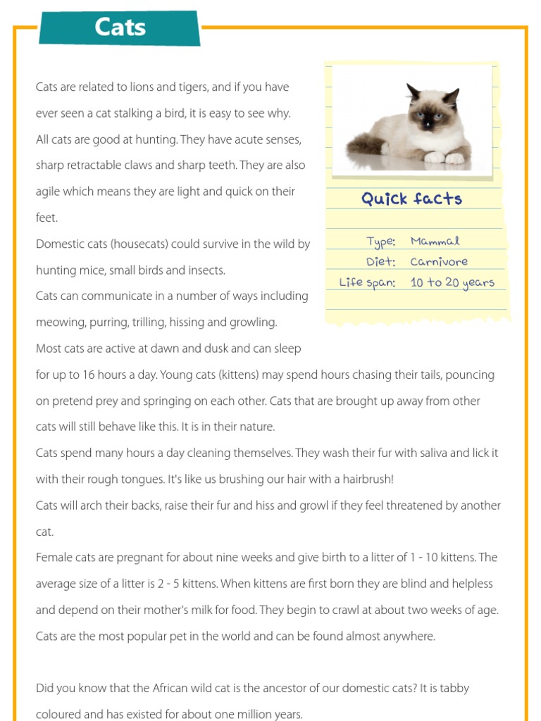 Cats - Reading Comprehension For Kids | PDF | Mammals | Cats