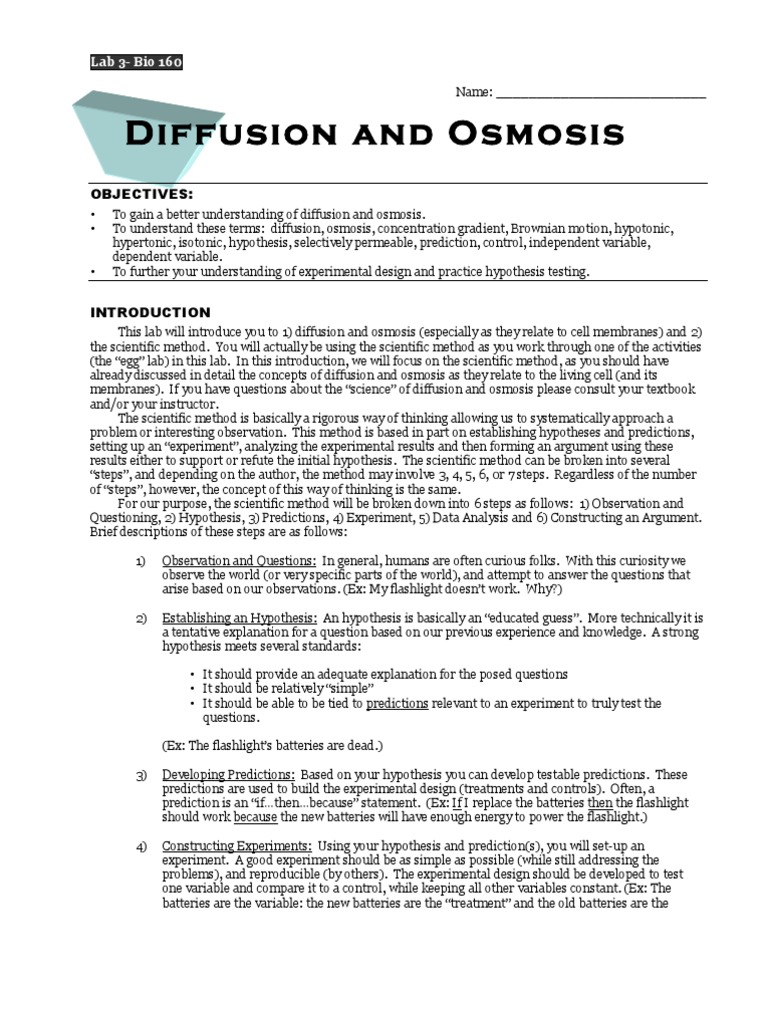 Lab03 Osmosis | PDF | Osmosis | Experiment