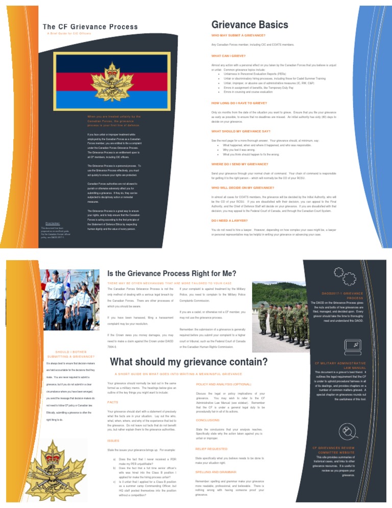 Grievance Guide | PDF | Complaint | Government