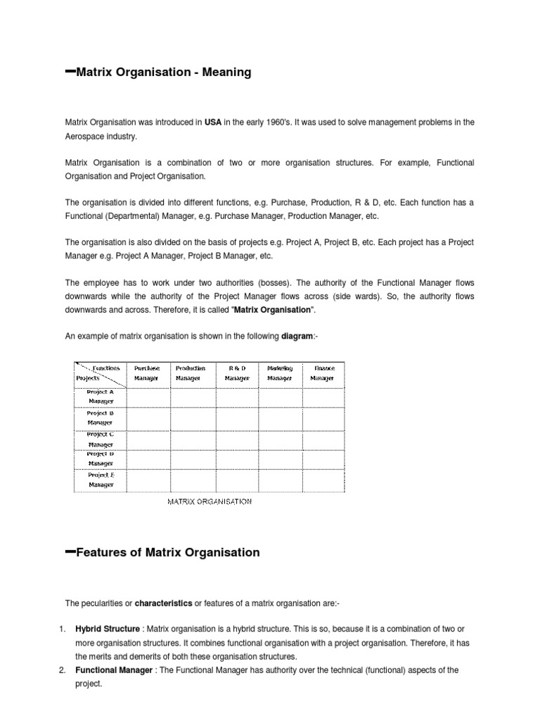 Project Managment Matrix Organisation | PDF | Team Building | Project ...