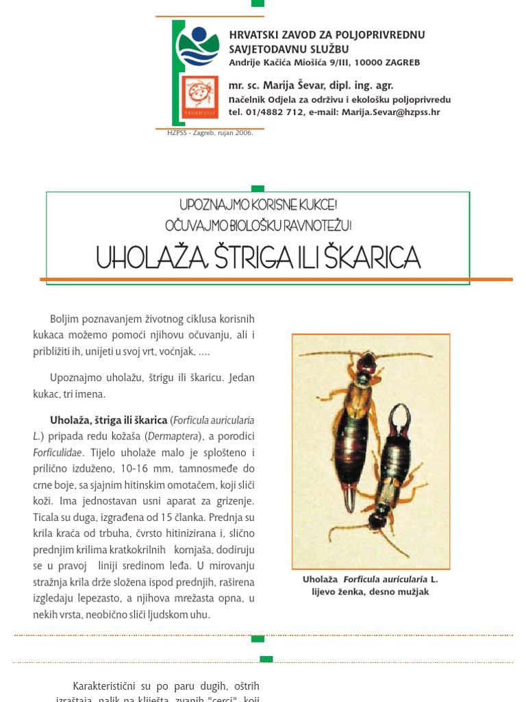 Uholaza | PDF