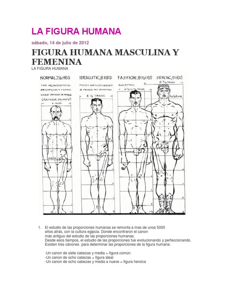 La Figura Humana | Homo Sapiens | Mujer