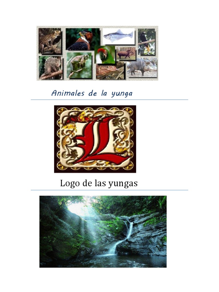 Animales de la Yunga: Fauna y Ecosistemas | PDF | Religión y ...