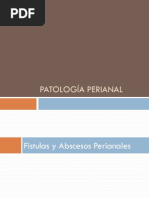 Anatomía y Fisiología Anorrectal | PDF | Recto | Sistema digestivo