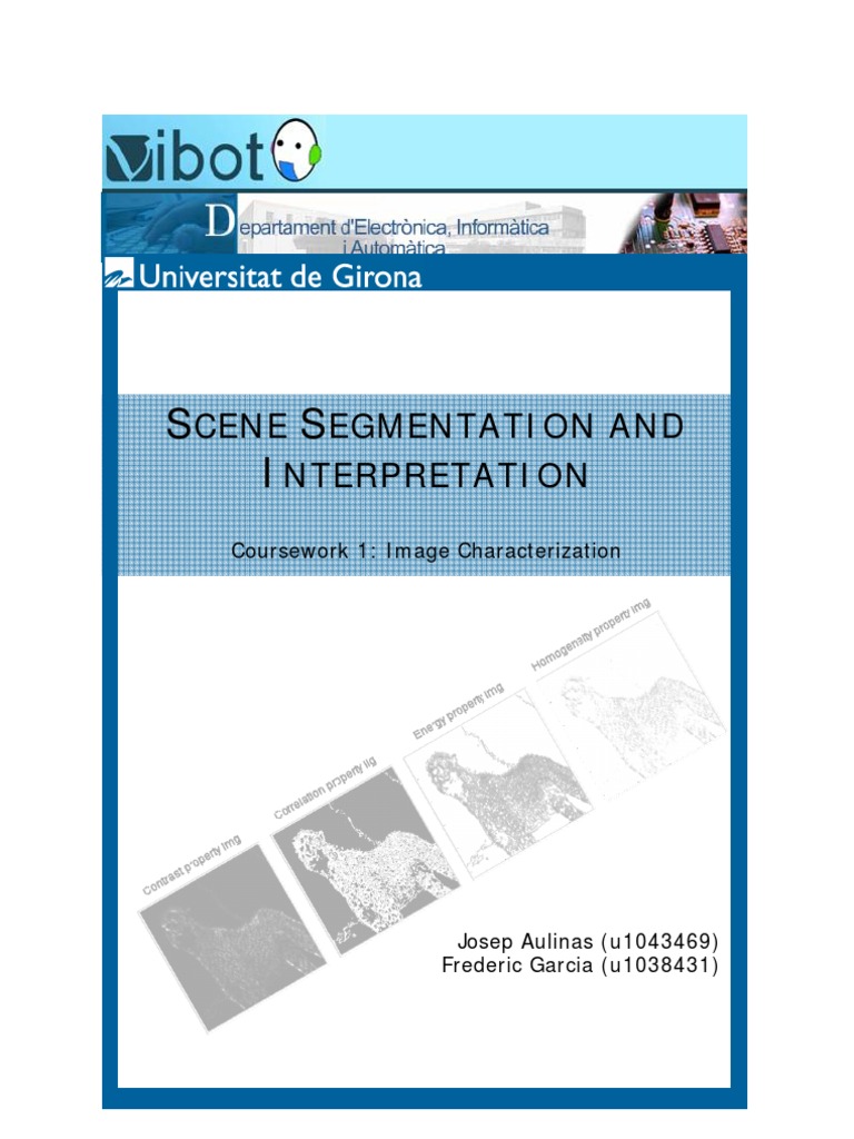 Secene Image Segmentation | PDF | Image Segmentation | Texture Mapping