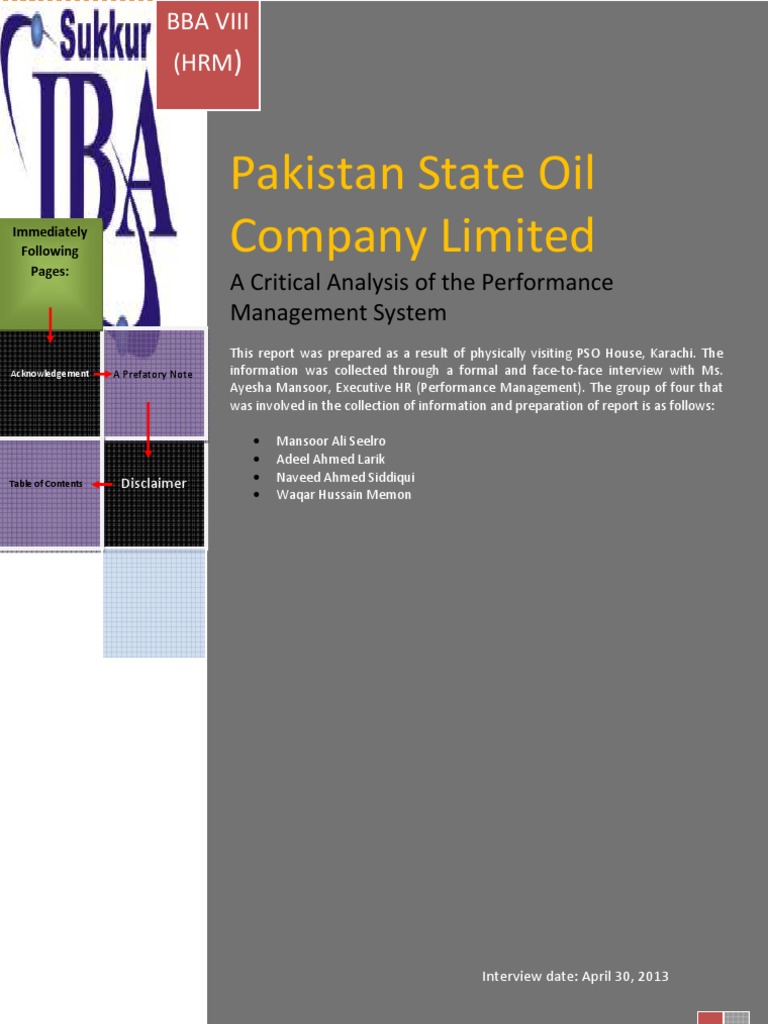 PSO Report by Mansoor Ali Seelro (Performance Management) | PDF ...