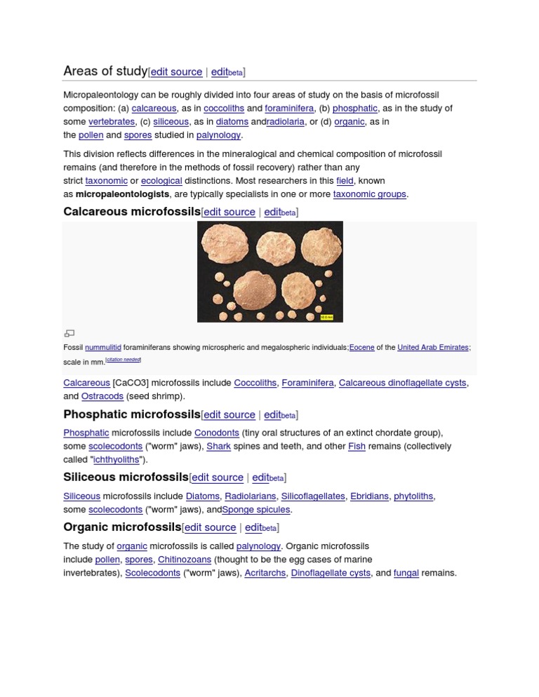 Areas of Study: Calcareous Microfossils | PDF