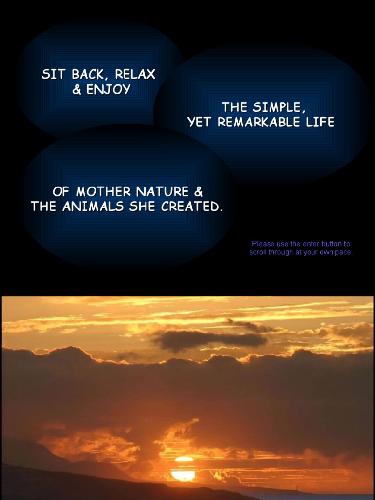Sit Back, Relax & Enjoy The Simple, Yet Remarkable Life | PDF | Poetry
