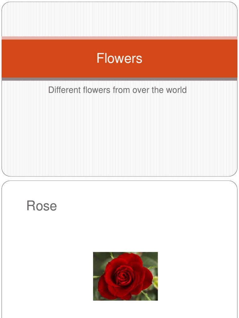 Flowers: Different Flowers From Over The World | PDF