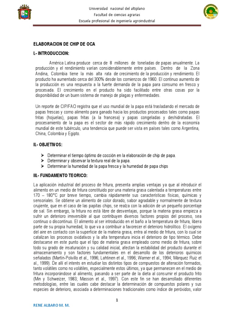 Elaboracion de Chip de Papa | PDF | Patata | Aluminio