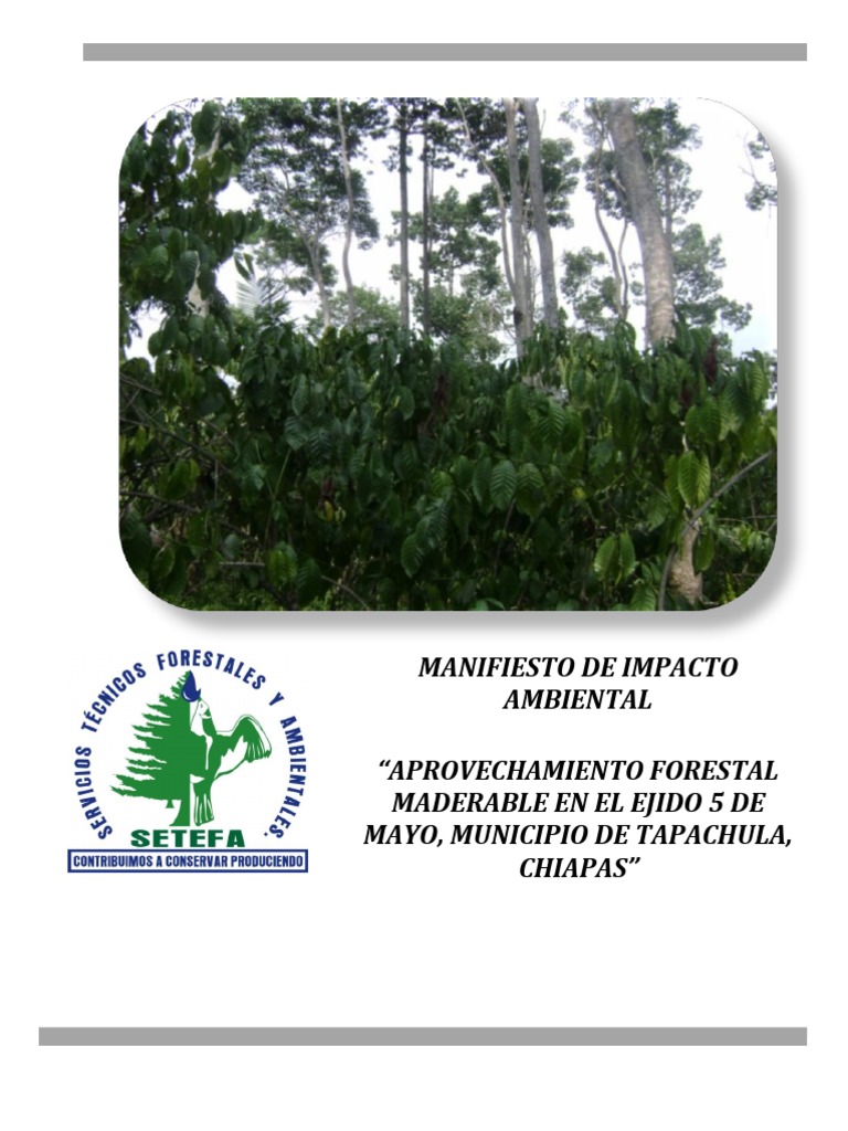 Manejo y Aprovechaiento Forestal Maderable | PDF | Gestión de bosques ...