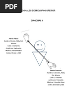 Goniometria de Tobillo y Pie | PDF | Tobillo | Pie