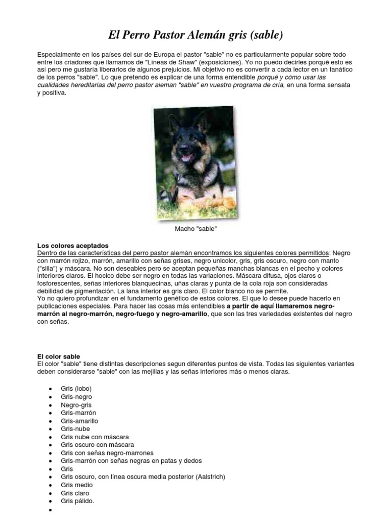 Perro Pastor Aleman Gris | PDF | Pastor alemán | Perros
