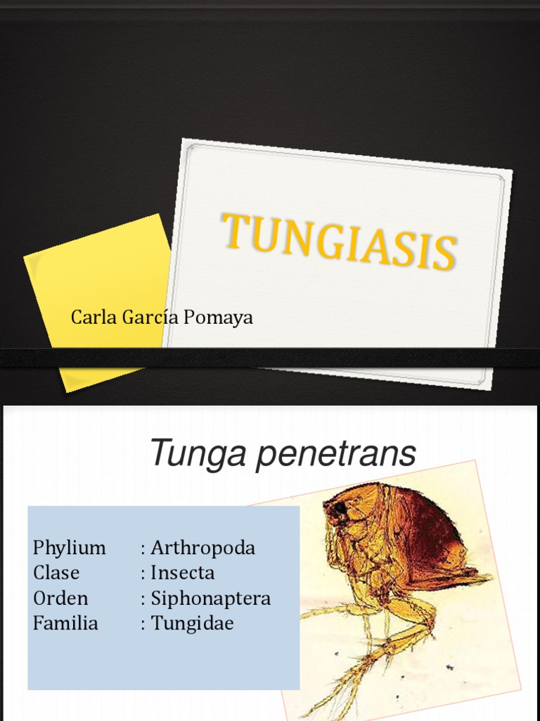 Tratamiento y Extracción de Niguas | PDF | Medicina | Especialidades ...