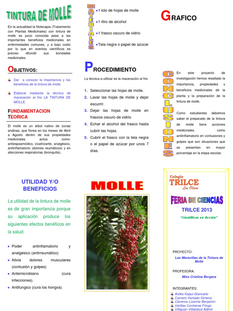 Triptico Molle | PDF