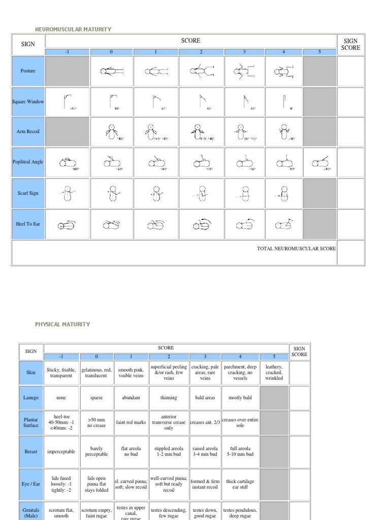 Neuromuscular Maturity | PDF