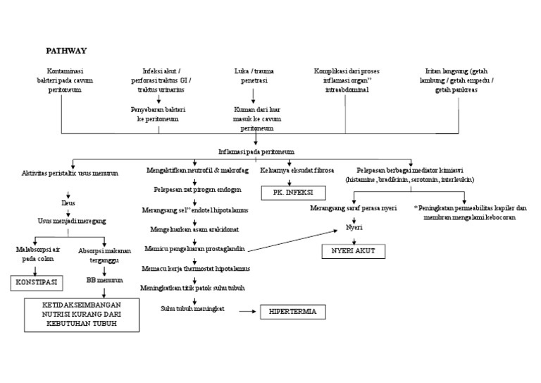 57996915 Pathway Peritonitis