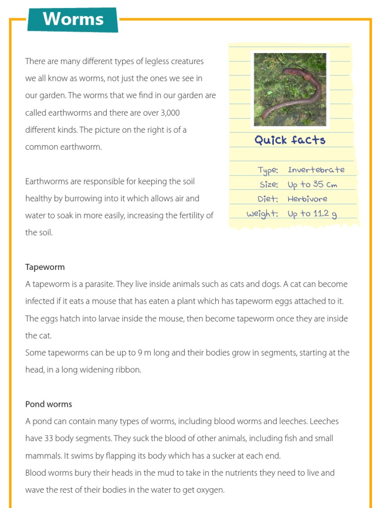 Worms - Reading Comprehension For Primary/elementary Children | PDF ...