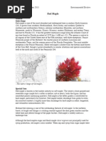 Tree Identification Cards | PDF | Flora | Trees