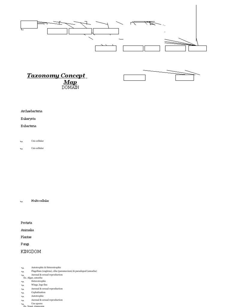 Taxonomy Concept Map Overview | PDF | Mammals | Zoology