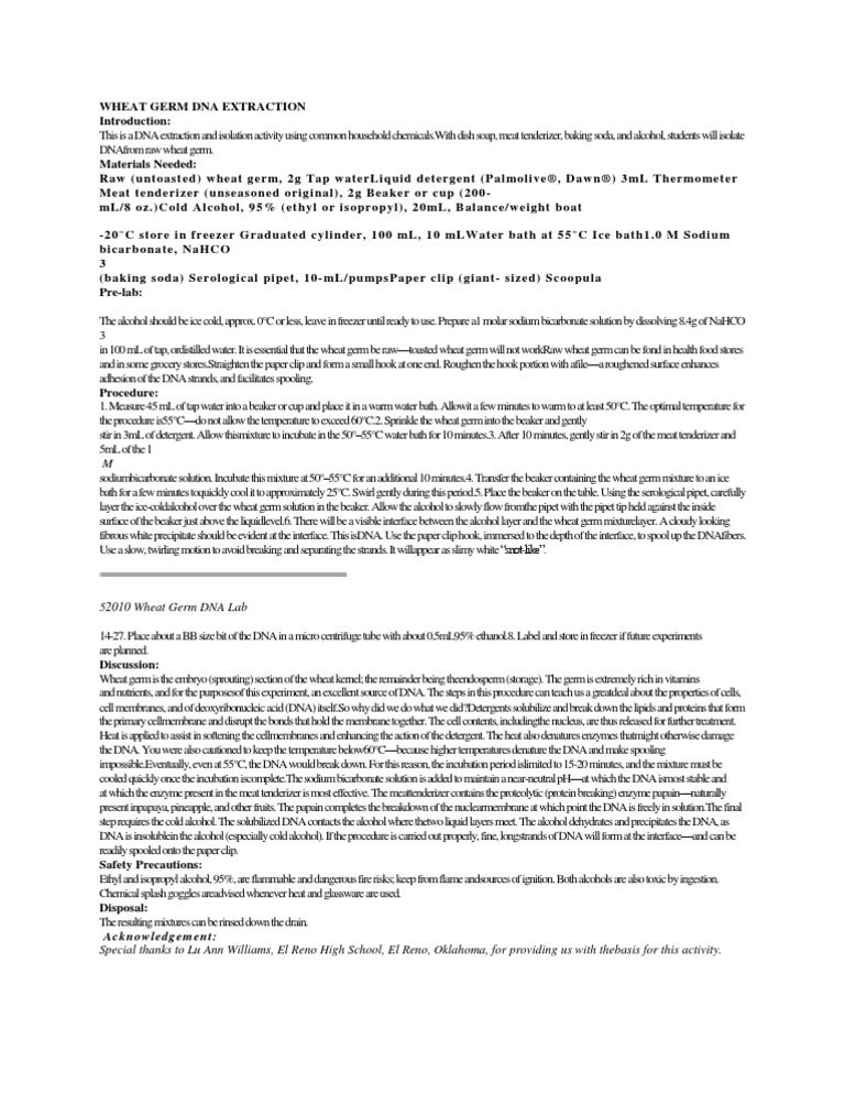 Wheat Germ Dna Extraction | PDF | Sodium Bicarbonate | Dna